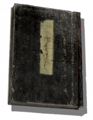 Black Diary - Zero Wiki