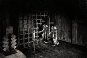 Escaping Twins (Photo) - Zero Wiki